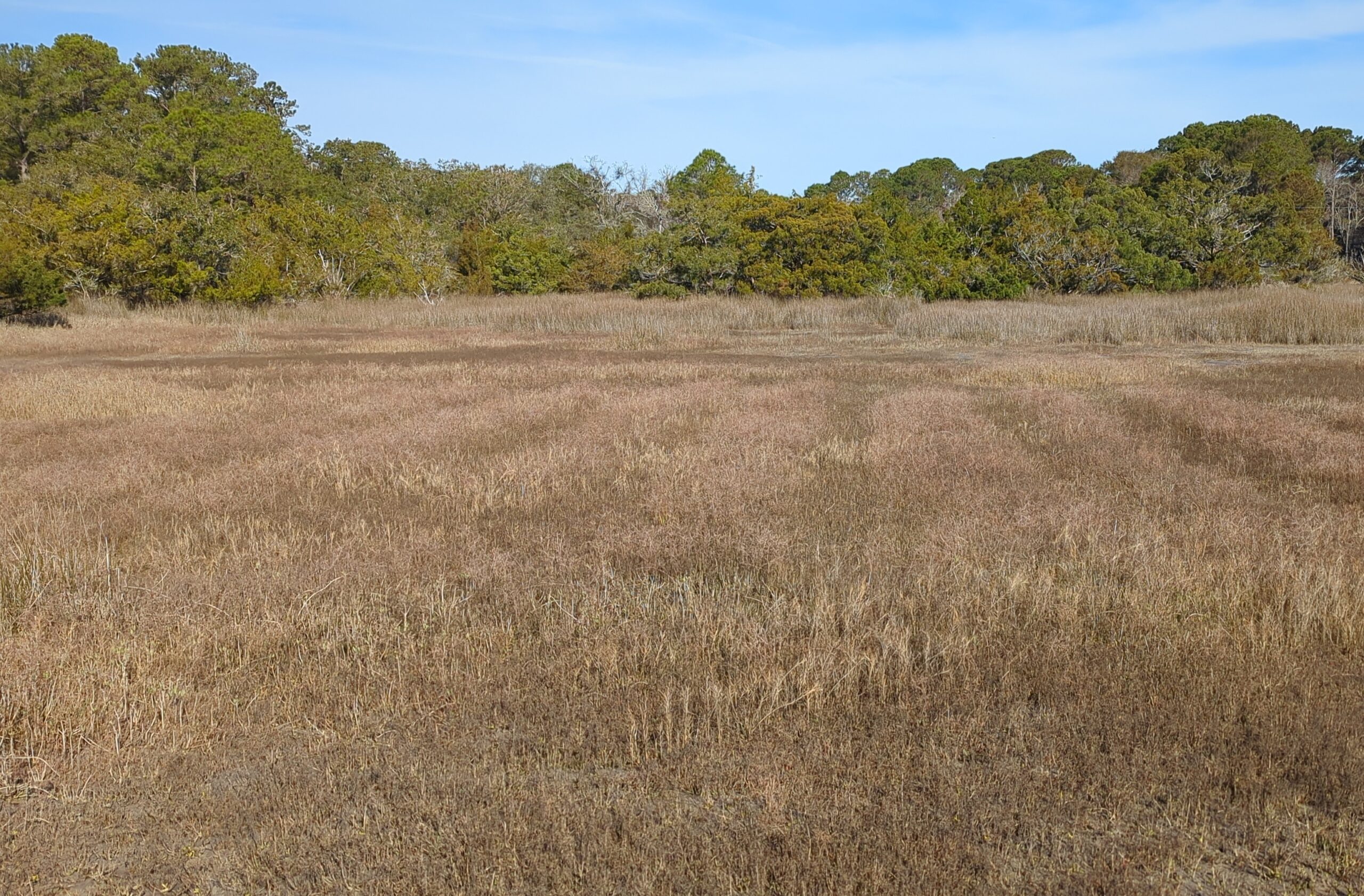 Ocella Creek Point - Access Tract - Edisto Island Open Land Trust ...